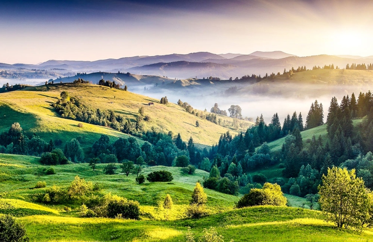 27 Stunning Hill Stations in South India to Add to Your Bucket List